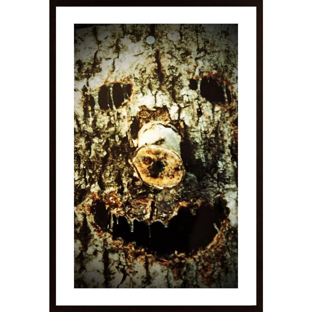 Faces Of Nature Poster | srsly.se